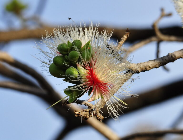 Traditions And Cultures - An Intricate Exploration of Jharkhand's 10 ...